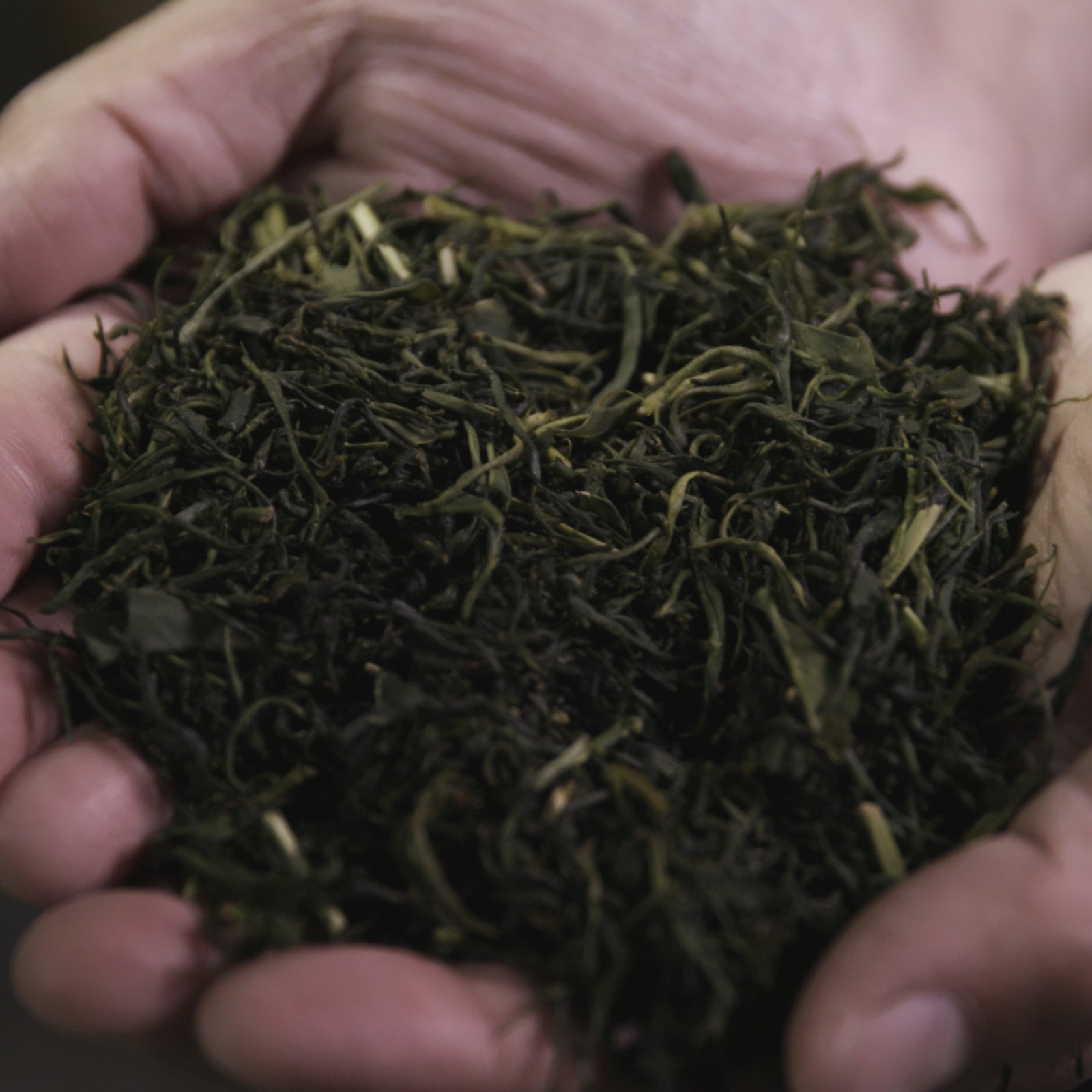 Pure Tea | Japanese Tea Leaves Collection – Mohei Tea